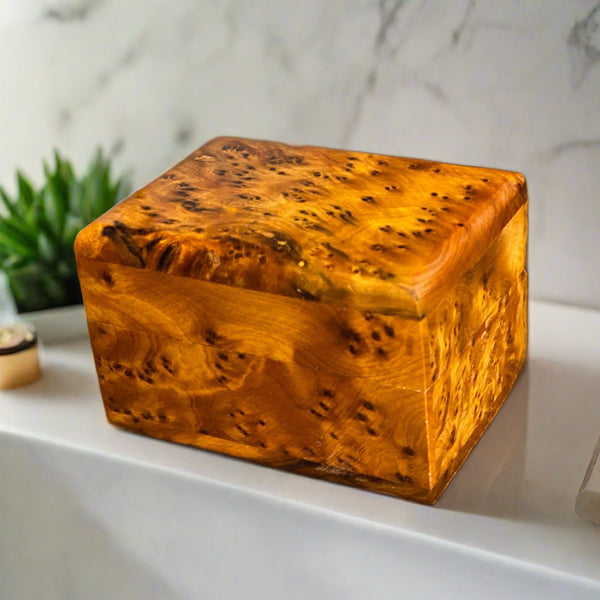 Small Unhinged Box, Made from Thuya Wood – Hands of the World